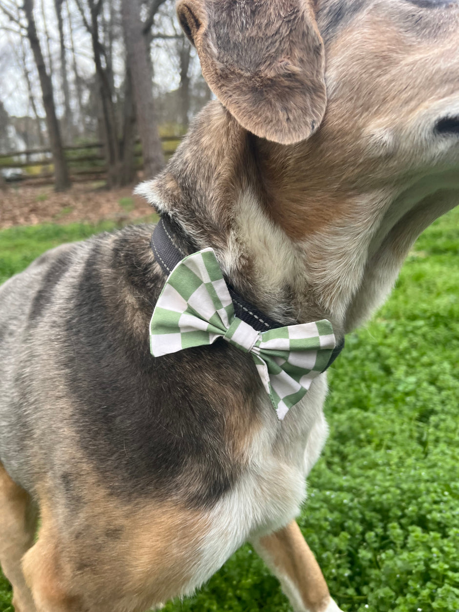 The Ruff Riley Company