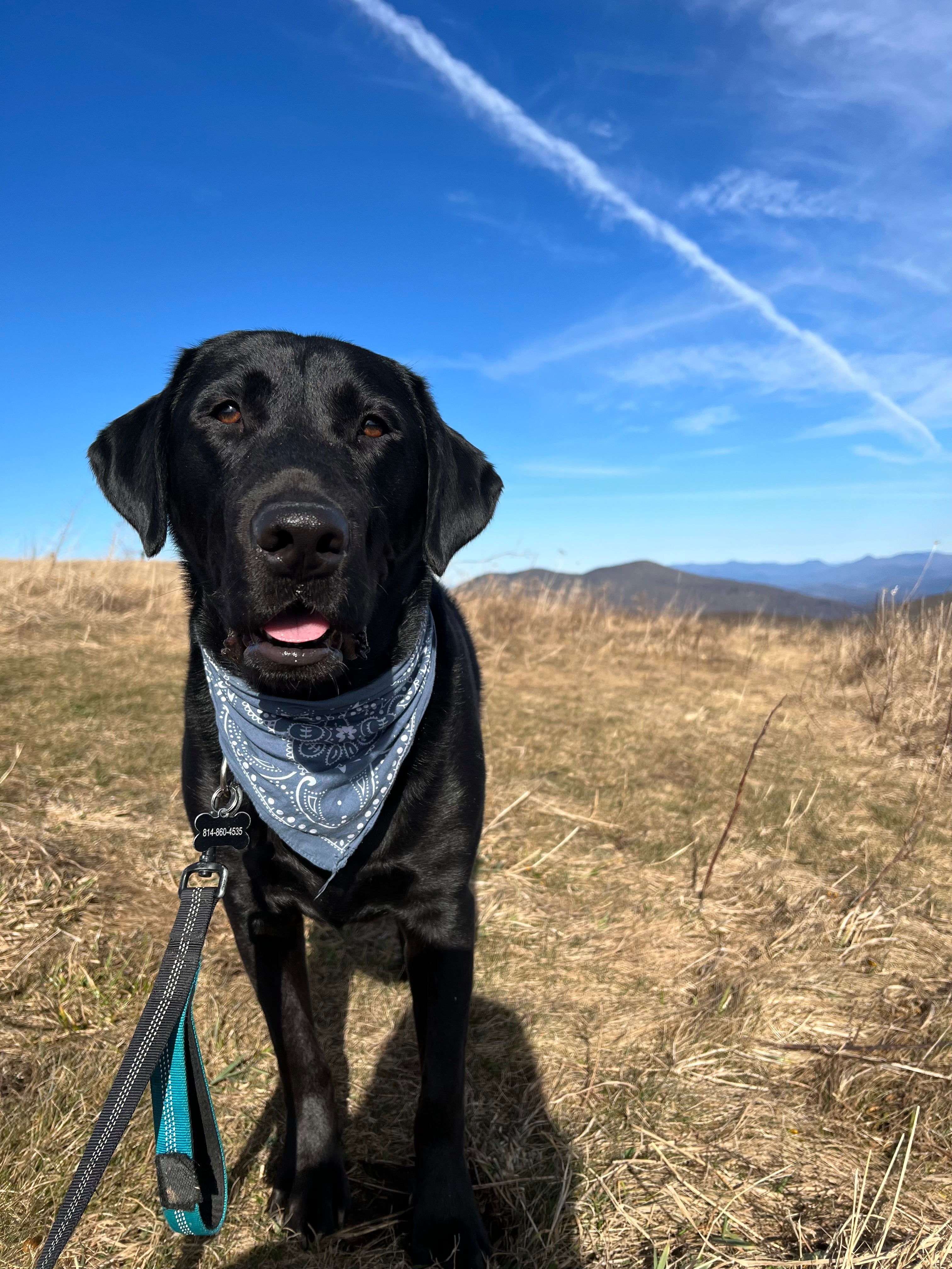 The Ruff Riley Company